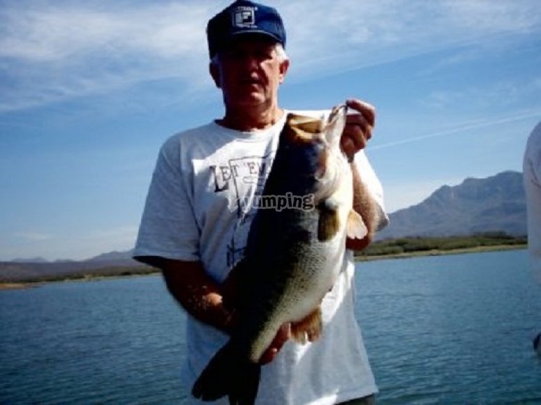 Ron Speed Adventures, precios y reservas 2025 | Yumping