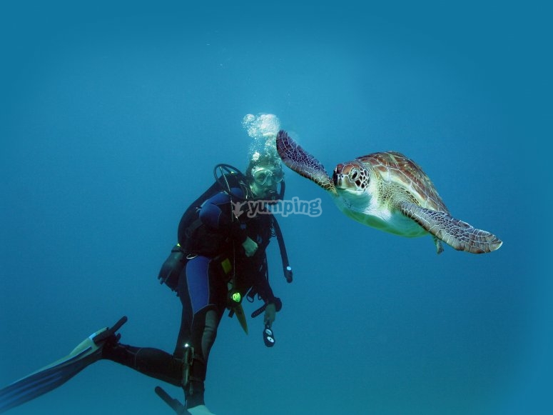 El Cardón NaturExperience, precios y reservas 2025 | Yumping