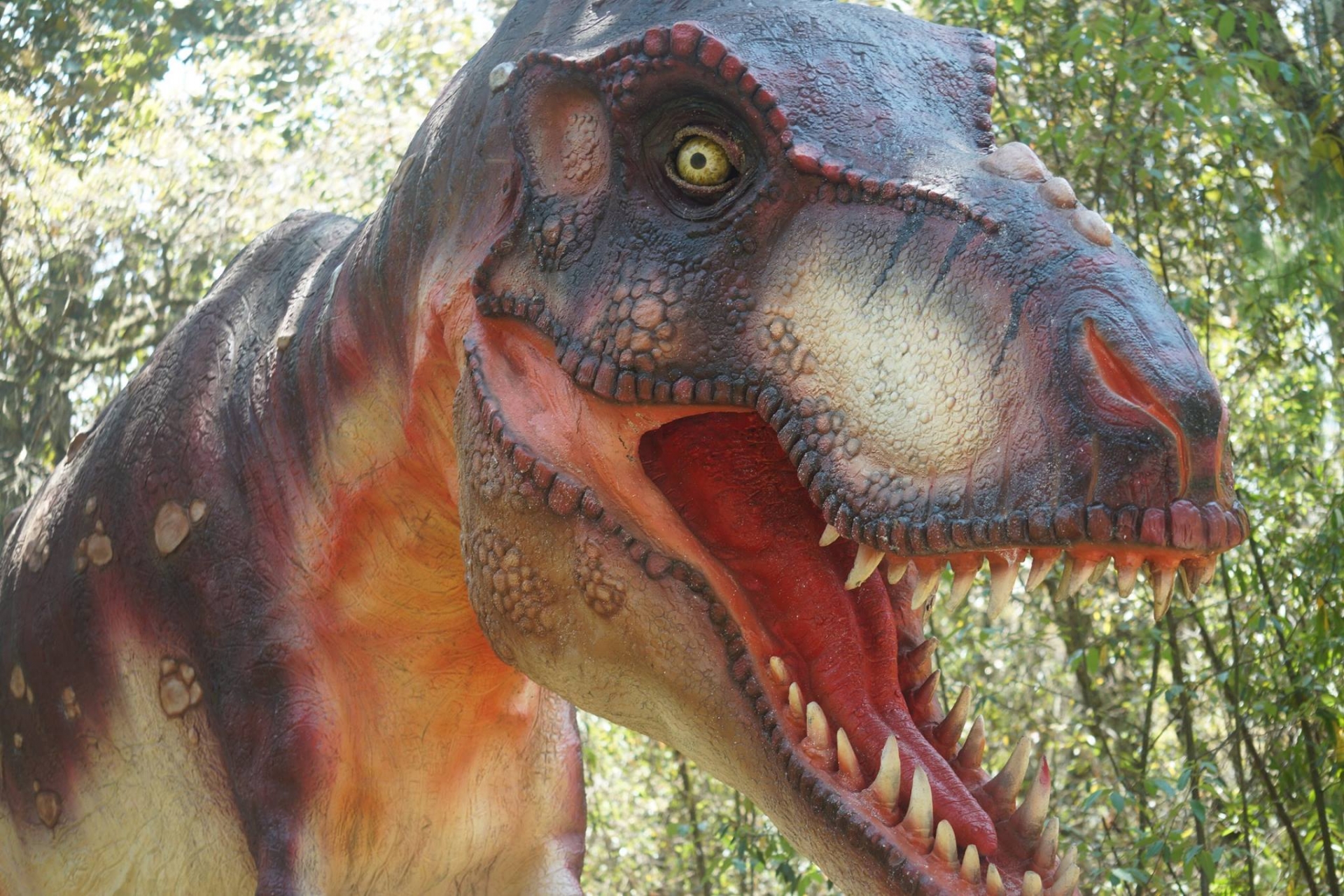 Bioparque Estrella México, precios y reservas 2026 | Yumping