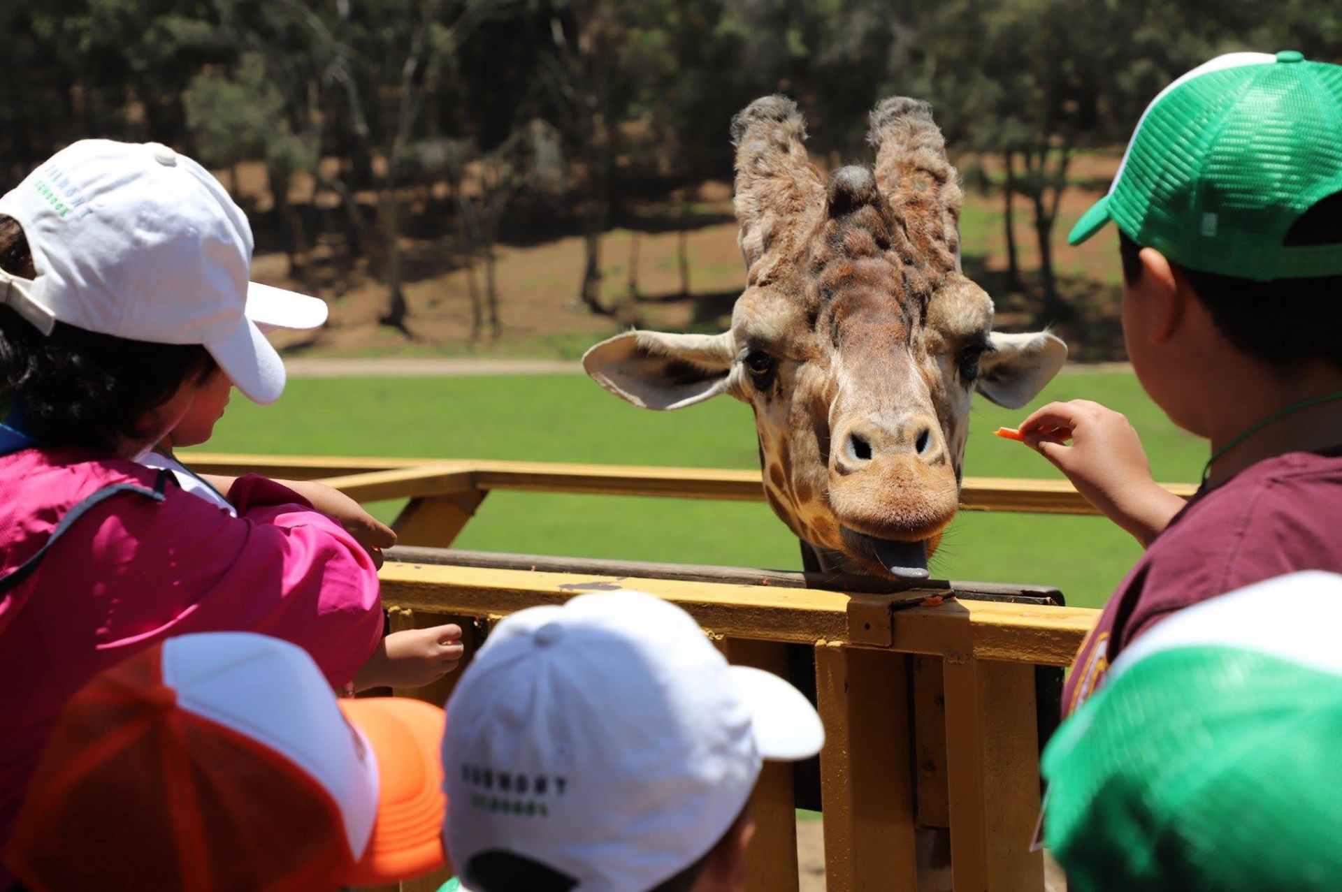 Bioparque Estrella México, precios y reservas 2026 | Yumping