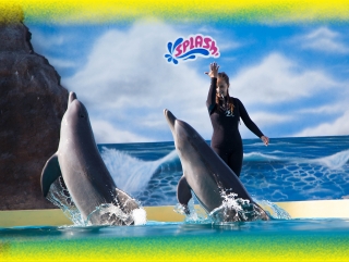 Parque Acuático Splash, precios y reservas 2026 | Yumping