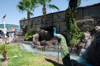 El Charco, precios y reservas 2026 | Yumping