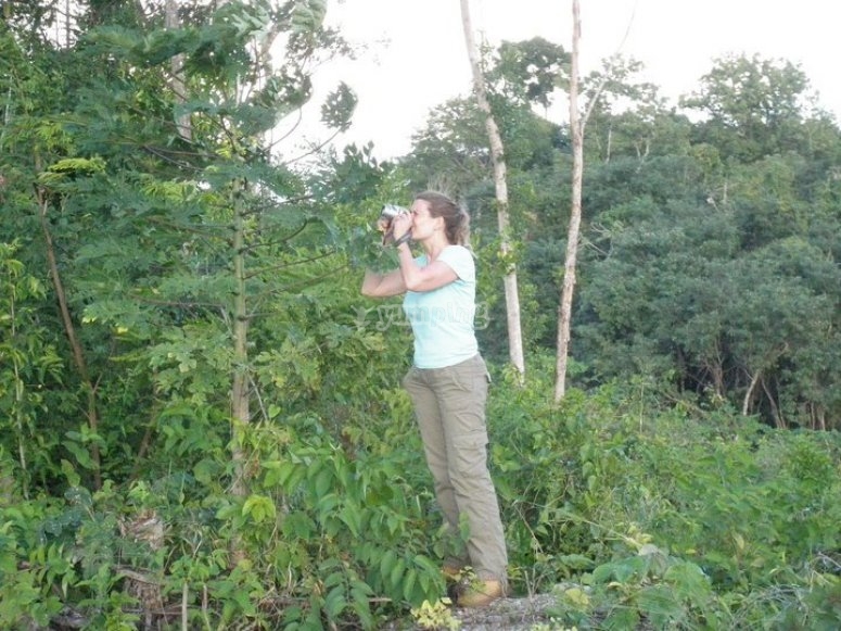 Mayan World Adventures, prices and bookings 2026 | Yumping