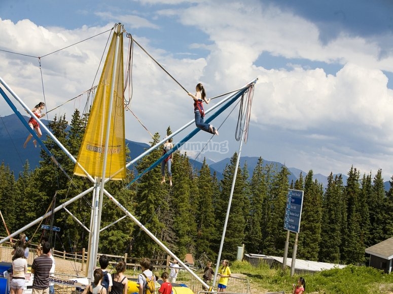 Renta de euro bungee en la Ciudad de México desde $9889 | Yumping