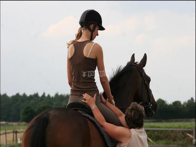 Hill Farm Riding & Driving Centre, precios y reservas 2025 | Yumping