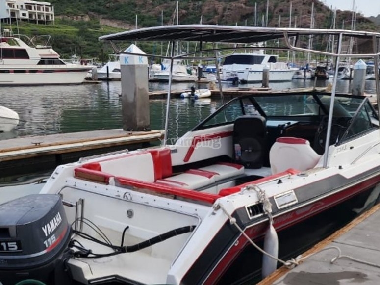 Paseo en lancha rápida en San Carlos por 2 horas desde $3200 | Yumping