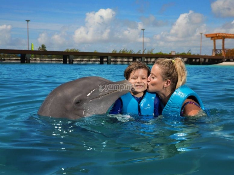 Delphinus Xcaret, precios y reservas 2026 | Yumping