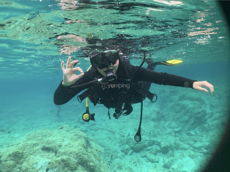 Albatros Diving, precios y reservas 2025 | Yumping